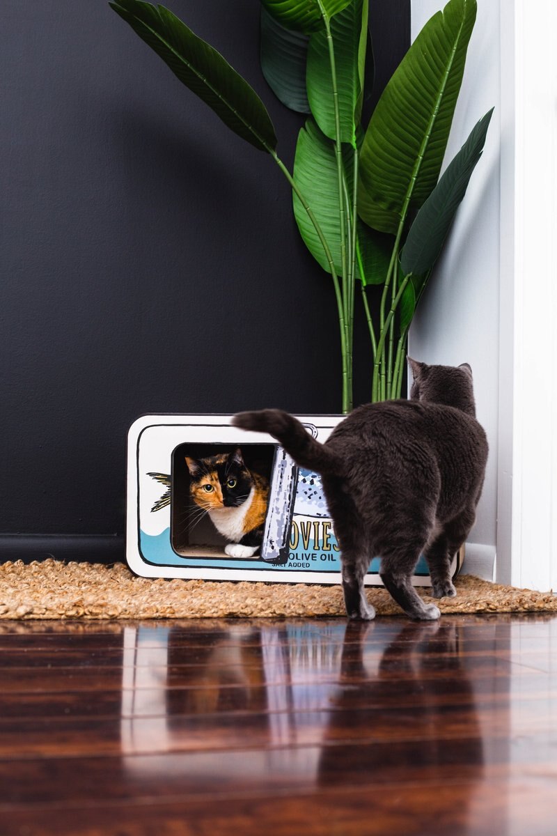 Temporarily Unavailable - PARK & BENCH Catalan Cat Scratcher, Olive ...