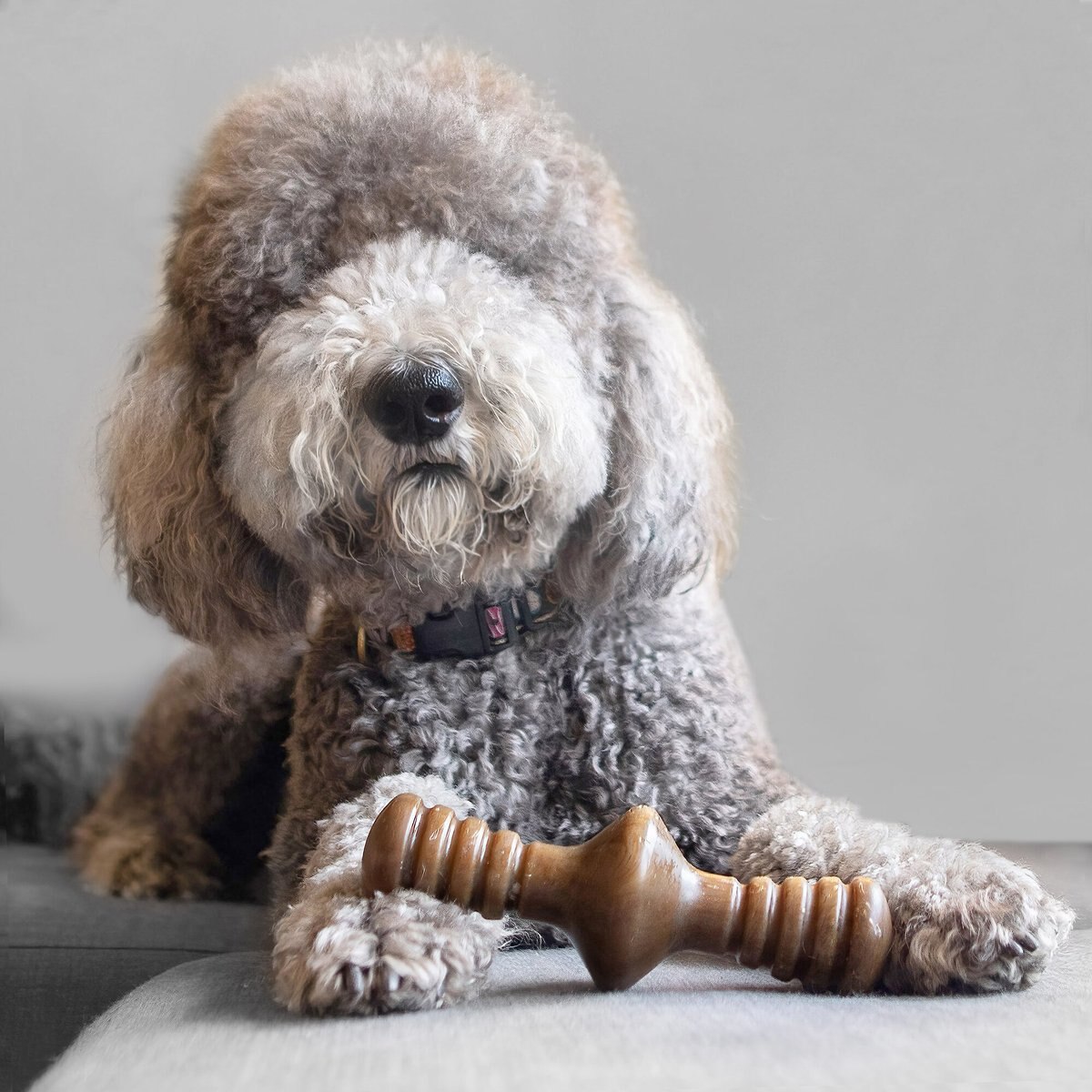 BENEBONE Bacon Flavor Zaggler Tough Dog Chew Toy, Giant - Chewy.com