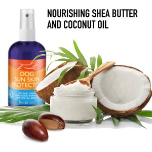 10 Best Dog Skin Care Products 2024: According to Reviews | Chewy