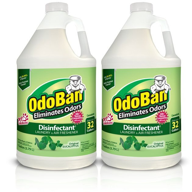 ODOBAN Disinfectant Laundry & Air Freshener Concentrate, Eucalyptus ...