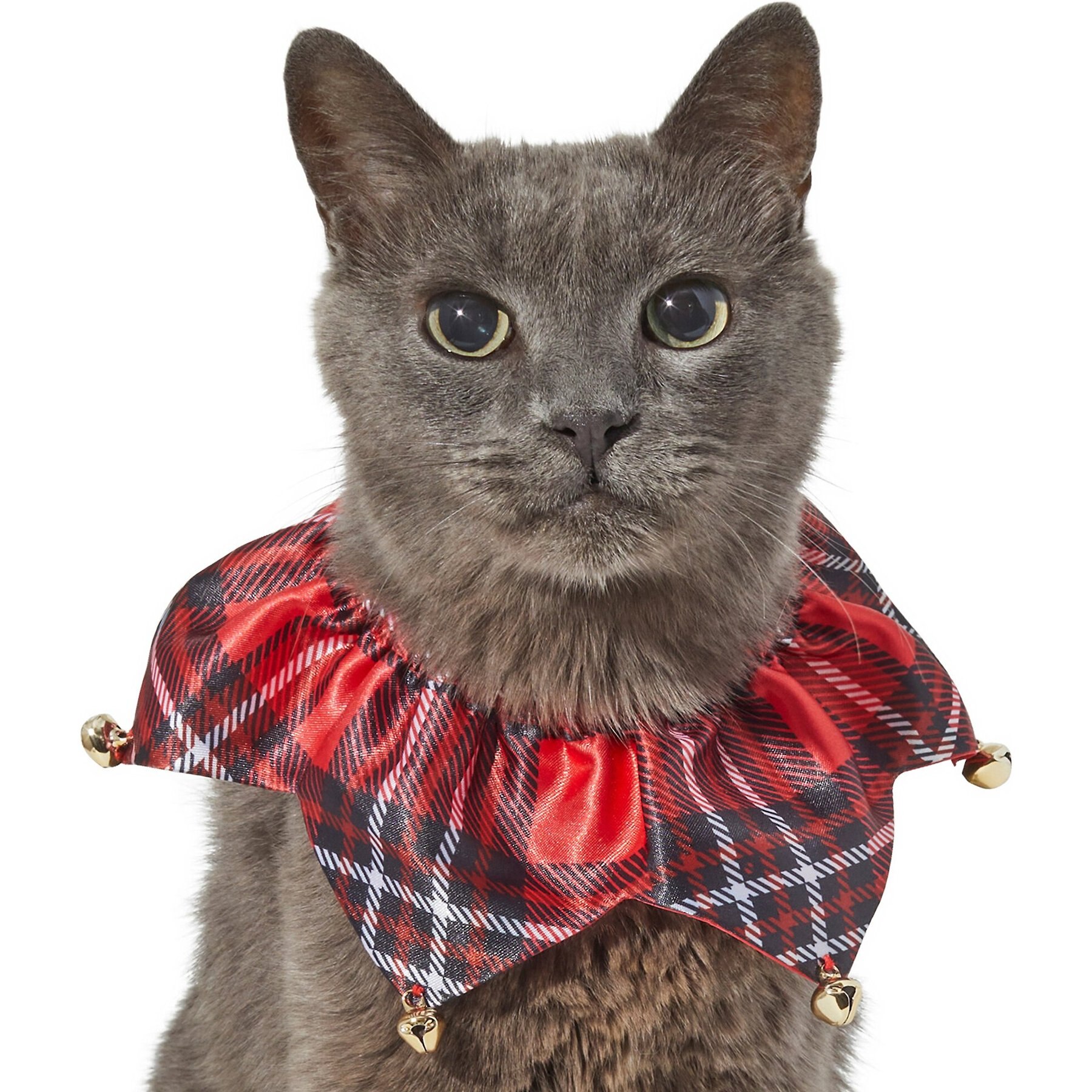 FRISCO Red Plaid Cat Ruffle Collar with Bells, One Size - Chewy.com