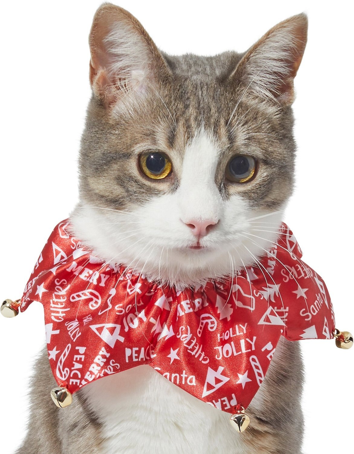 FRISCO Merry Print Cat Ruffle Collar with Bells, One Size - Chewy.com