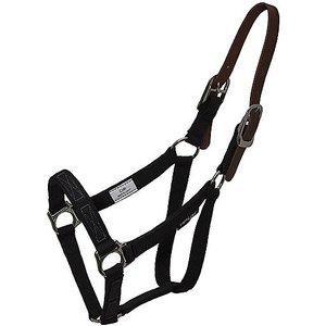 THINLINE Turnout Horse Halter, Cob - Chewy.com