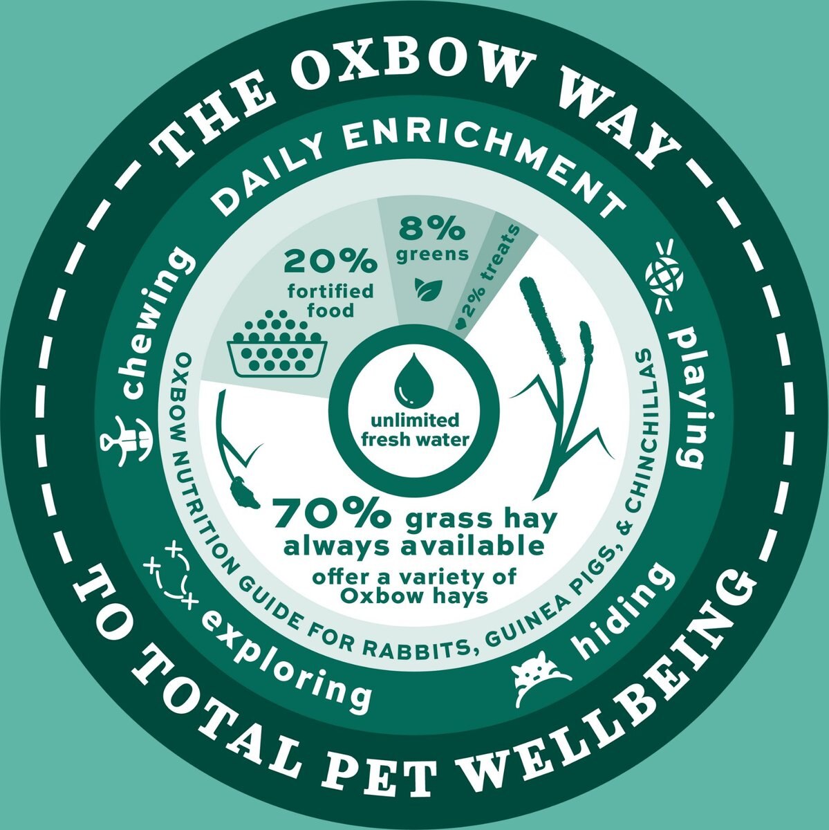 OXBOW Enriched Life Rectangle Small Animal Litter Pan with Removable ...