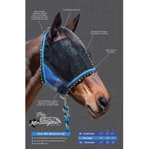 10 Best Fly Masks for Horses 2024: According to Reviews | Chewy