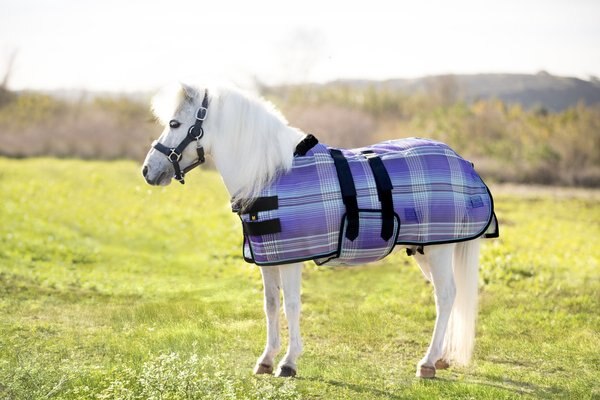 KENSINGTON PROTECTIVE PRODUCTS Textilene Protective Mini Horse Fly ...