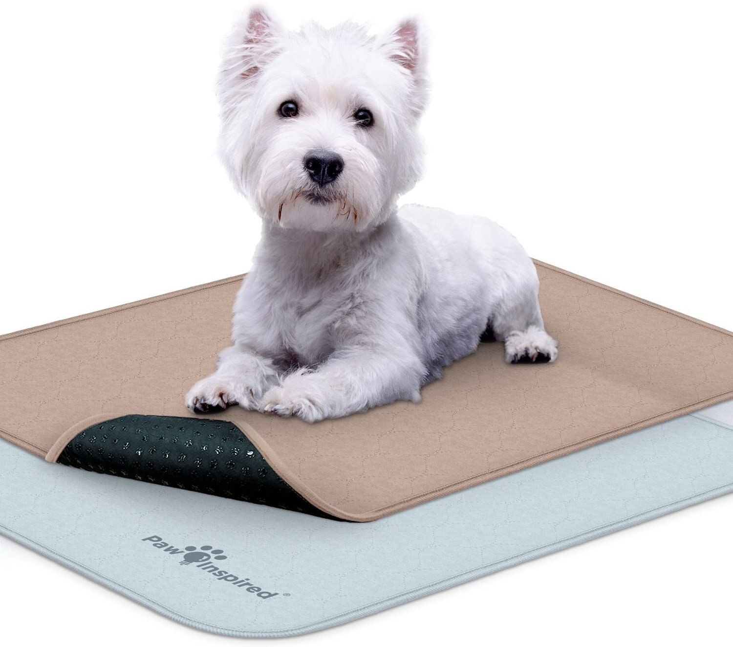 PAW INSPIRED Washable Dog Pads, 24" x 18", 2 count - Chewy.com