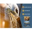 TRIBUTE EQUINE NUTRITION Alfa Essentials Pellets Horse Feed, 50-lb bag ...