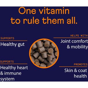 10 Best Dog Multivitamins 2024: According to Reviews | Chewy