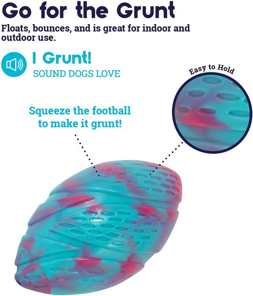 PETSTAGES Grunt N Punt Football Dog Toy, Blue & Pink - Chewy.com