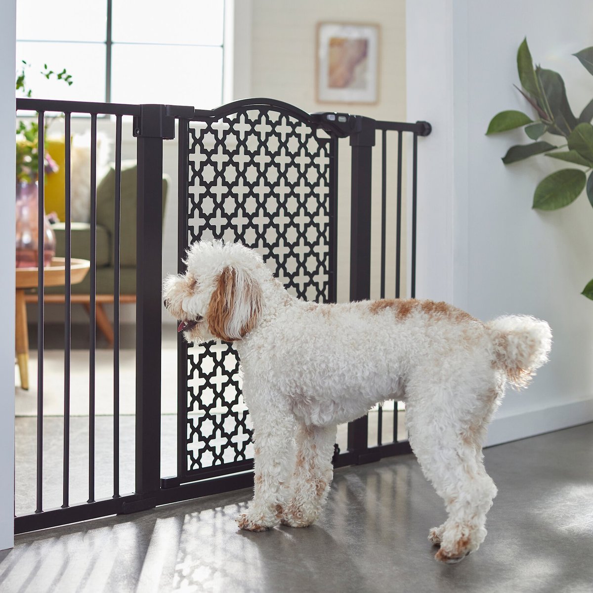 FRISCO Metal Pattern Extra Wide Auto-close Dog Gate, 30-in, Black ...