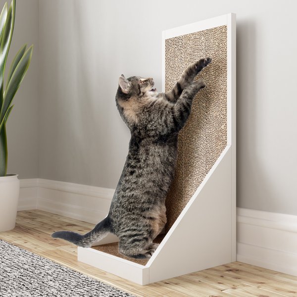 Out of Stock - WAY BASICS zBoard Paperboard Vertical Scratcher Cat Toy ...
