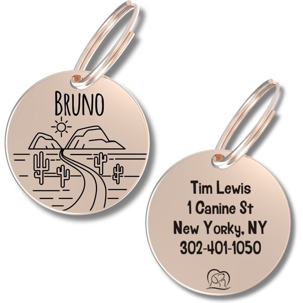 PAWFUREVER Diamond Personalized Dog ID Tag, Gold, Arizona - Chewy.com