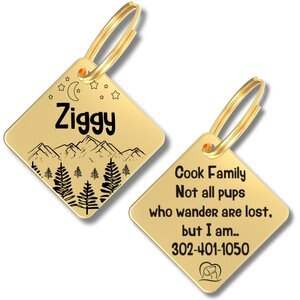 PAWFUREVER Hexagon Personalized Dog ID Tag, Gold, Fly High - Chewy.com