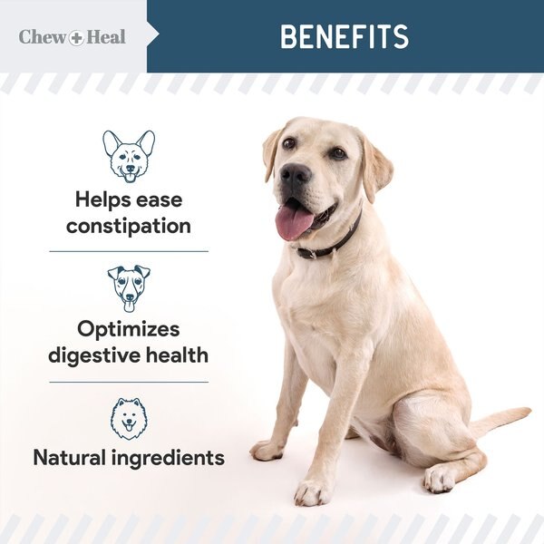 CHEW + HEAL Digestive Enzymes & Probiotics Supplement for Dogs, 120 ...