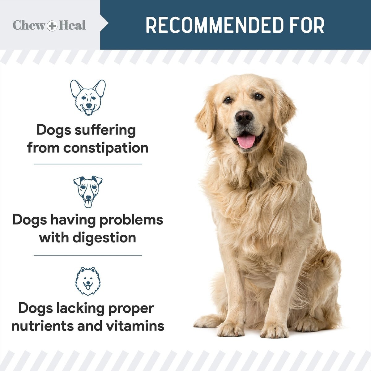 CHEW + HEAL Digestive Enzymes & Probiotics Supplement for Dogs, 120 ...