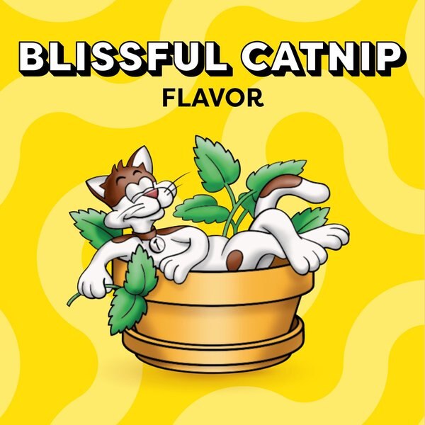 Discontinued - TEMPTATIONS Classic Blissful Catnip Flavor Soft ...
