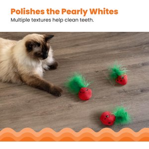 10 Best Cat Dental Toys 2025: According to Reviews | Chewy