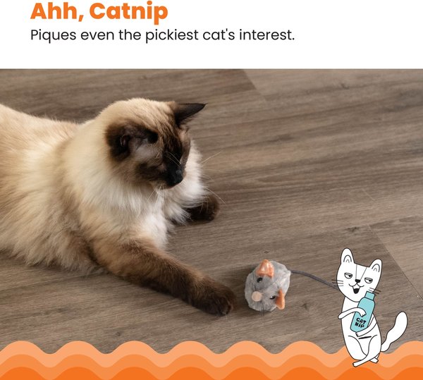 CATSTAGES Squeak Squeak Mouse Cat Toy - Chewy.com