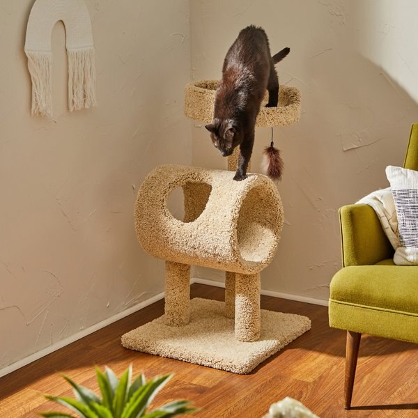 FRISCO 32-in Real Carpet Wooden Cat Tree with Toy, Beige - Chewy.com