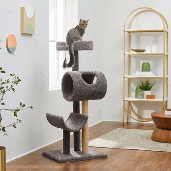 Medium Cat Trees - Page 2 (Free Shipping) | Chewy