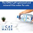 CATWATER pH Balanced Urinary Support Cat Water, 16.9-oz, 12 count ...