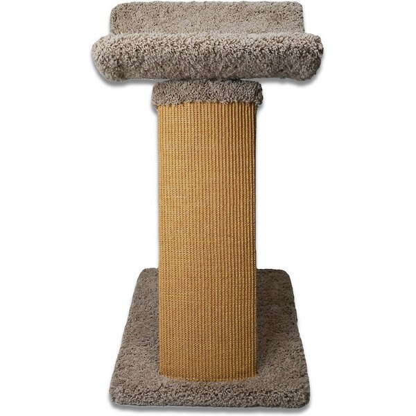 ROYAL CAT BOUTIQUE Cat Scratching Pad & Perch, Neutral - Chewy.com
