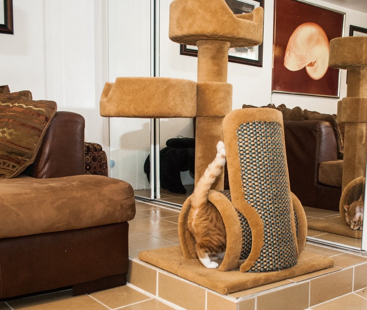 ROYAL CAT BOUTIQUE NANI-2 41-in Carpet Cat Tree, Neutral - Chewy.com