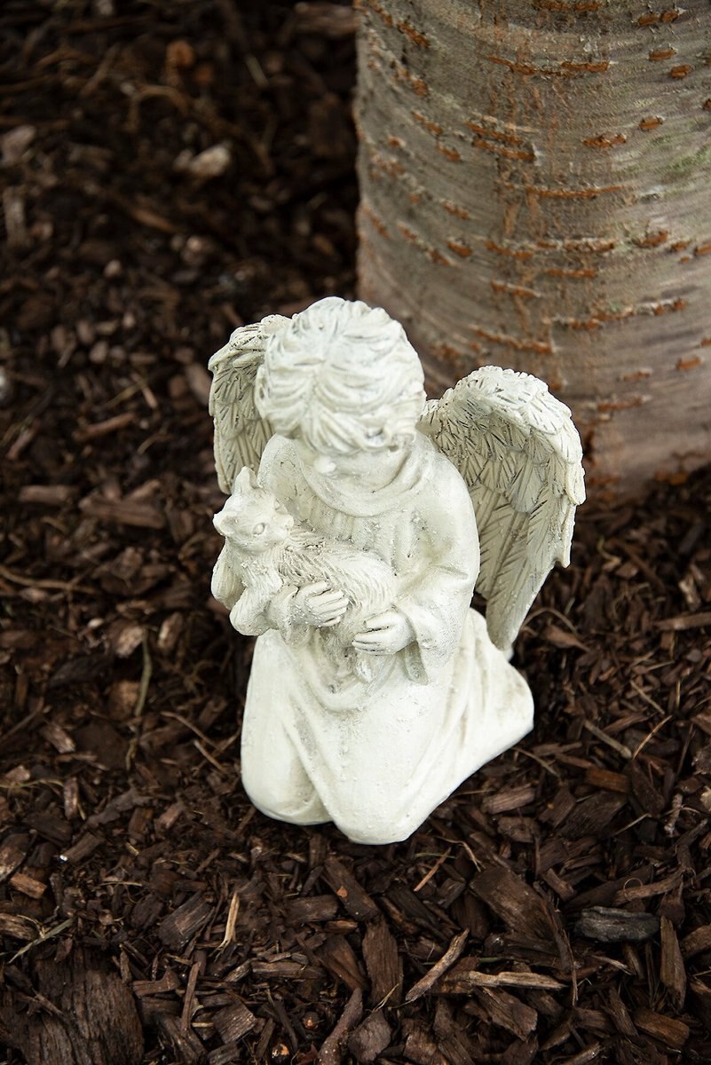 C&F Cherub & Cat Remembrance Figurine - Chewy.com