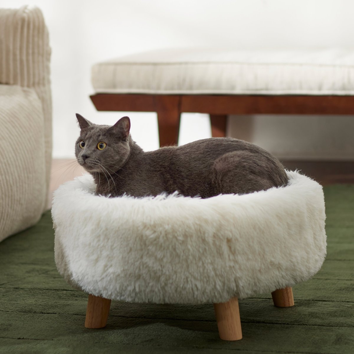 FRISCO Long Faux Fur Elevated Cat Bed, Ivory - Chewy.com