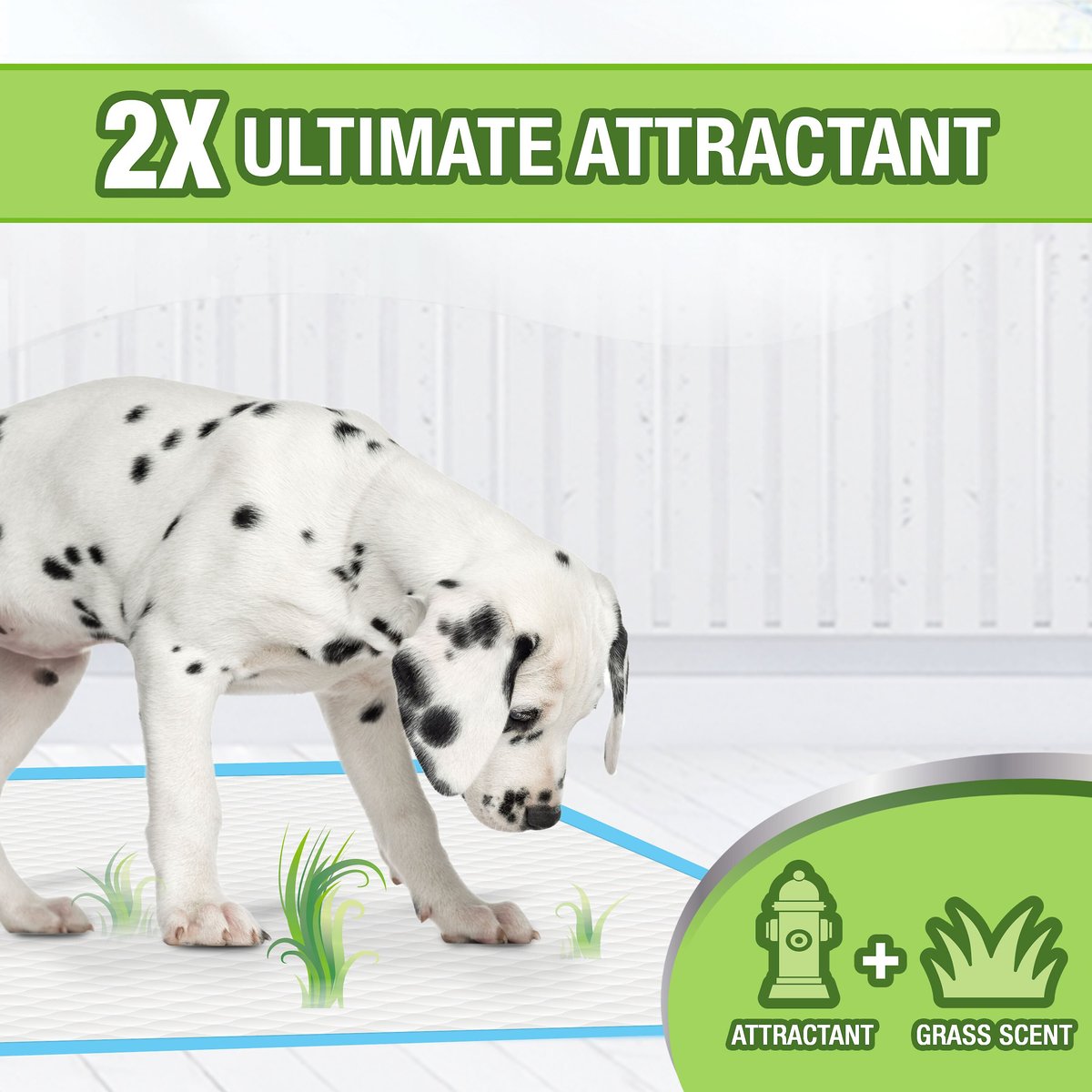 Four Paws Wee-Wee Ultimate Attractant Dog Pee Pads, 22 x 23-in, Grass Scent, 100 count - Chewy.com