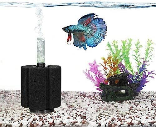 SUNGROW Betta Fish & Turtle Sponge Small Aquarium Tank Water System ...