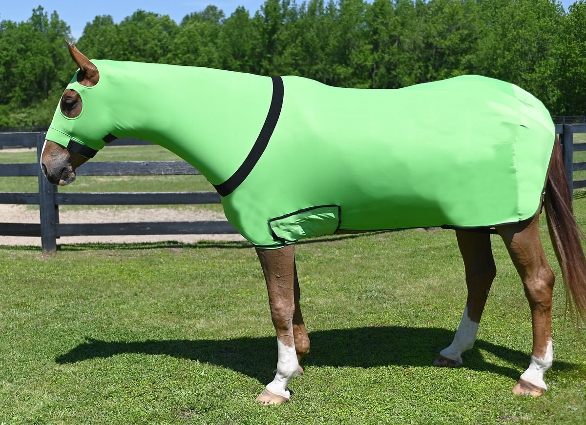 GATSBY StretchX Full Body Slicker Horse Sheet, Lime Green, Large ...