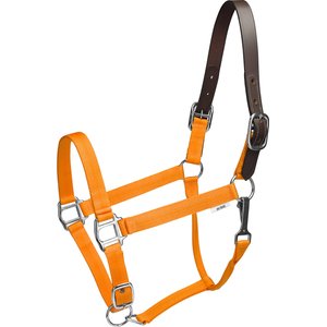 GATSBY 2-Tone Suede Padded Nylon Halter, Navy & Light Blue/Brown, Cob ...