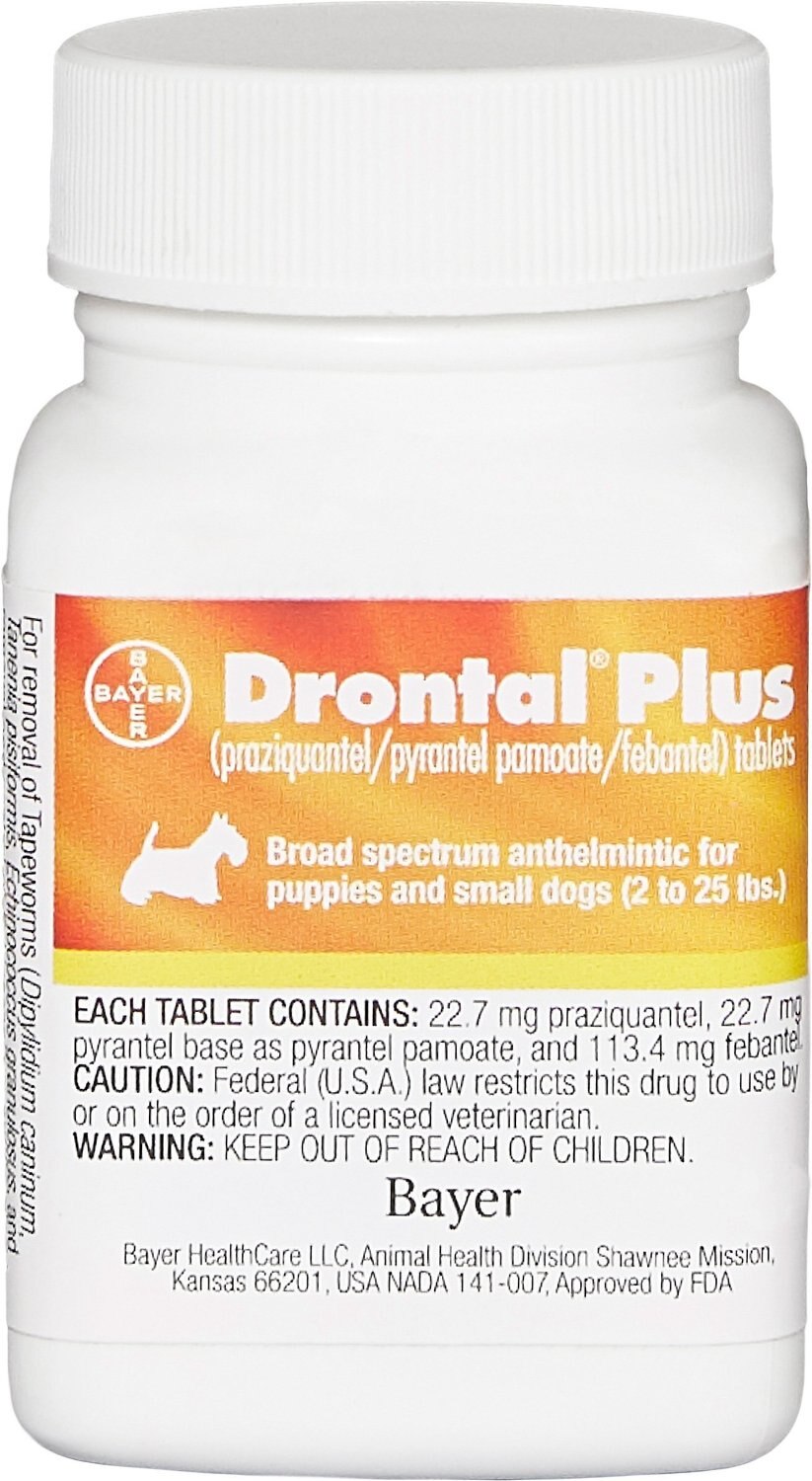 DRONTAL Plus Tablet for Small Dogs & Puppies, 2-25 lbs, 10 tablets ...