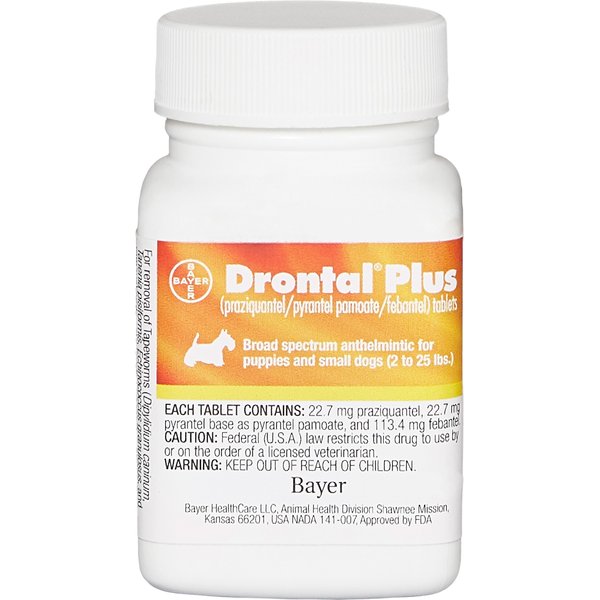 DRONTAL Plus Tablet for Small Dogs & Puppies, 2-25 lbs, 10 tablets ...