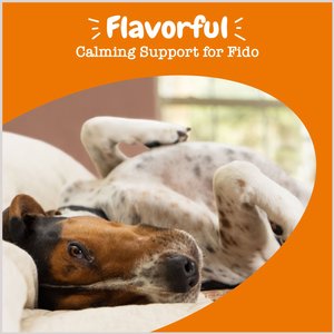 10 Best Liquid Calming Supplements for Dogs 2024: According to Reviews ...