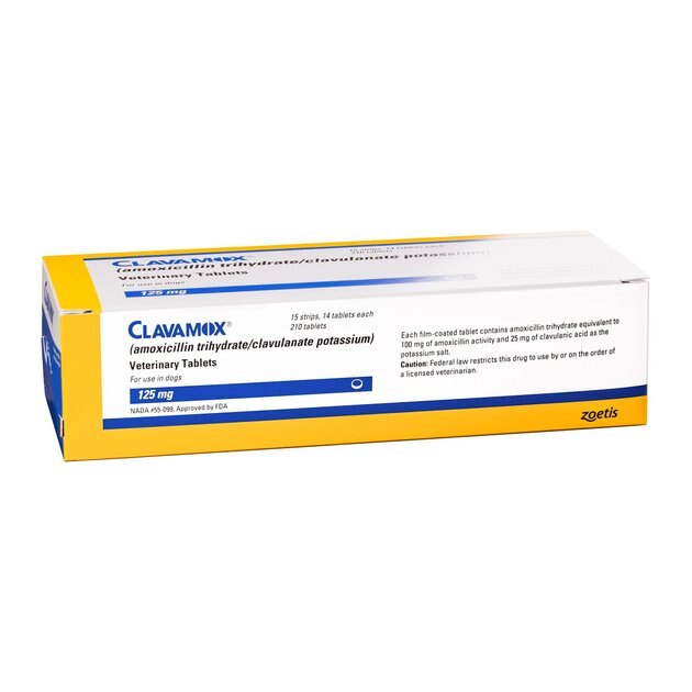 CLAVAMOX (Amoxicillin / Clavulanate Potassium) Chewable Tablets for ...