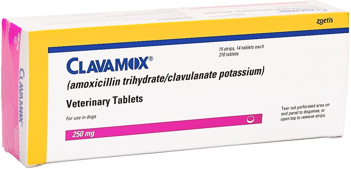 CLAVAMOX (Amoxicillin / Clavulanate Potassium) Chewable Tablets for Dogs & Cats, 250-mg, 30 ...