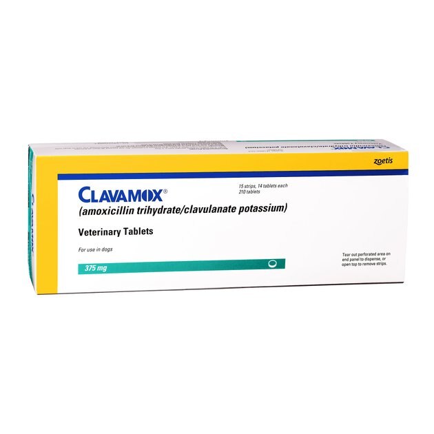 CLAVAMOX (Amoxicillin / Clavulanate Potassium) Chewable Tablets for ...