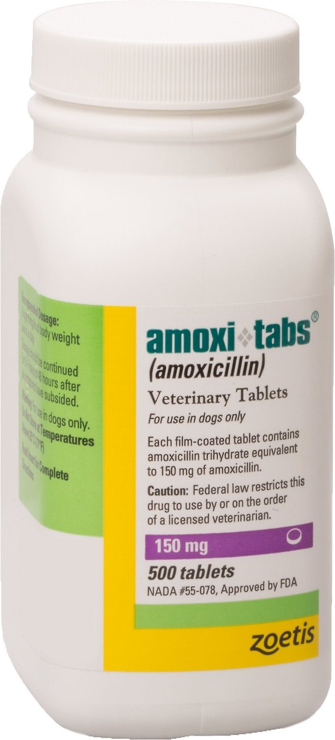 AMOXI-TABS (Amoxicillin) Tablets for Dogs & Cats, 150-mg, 30 tablets ...