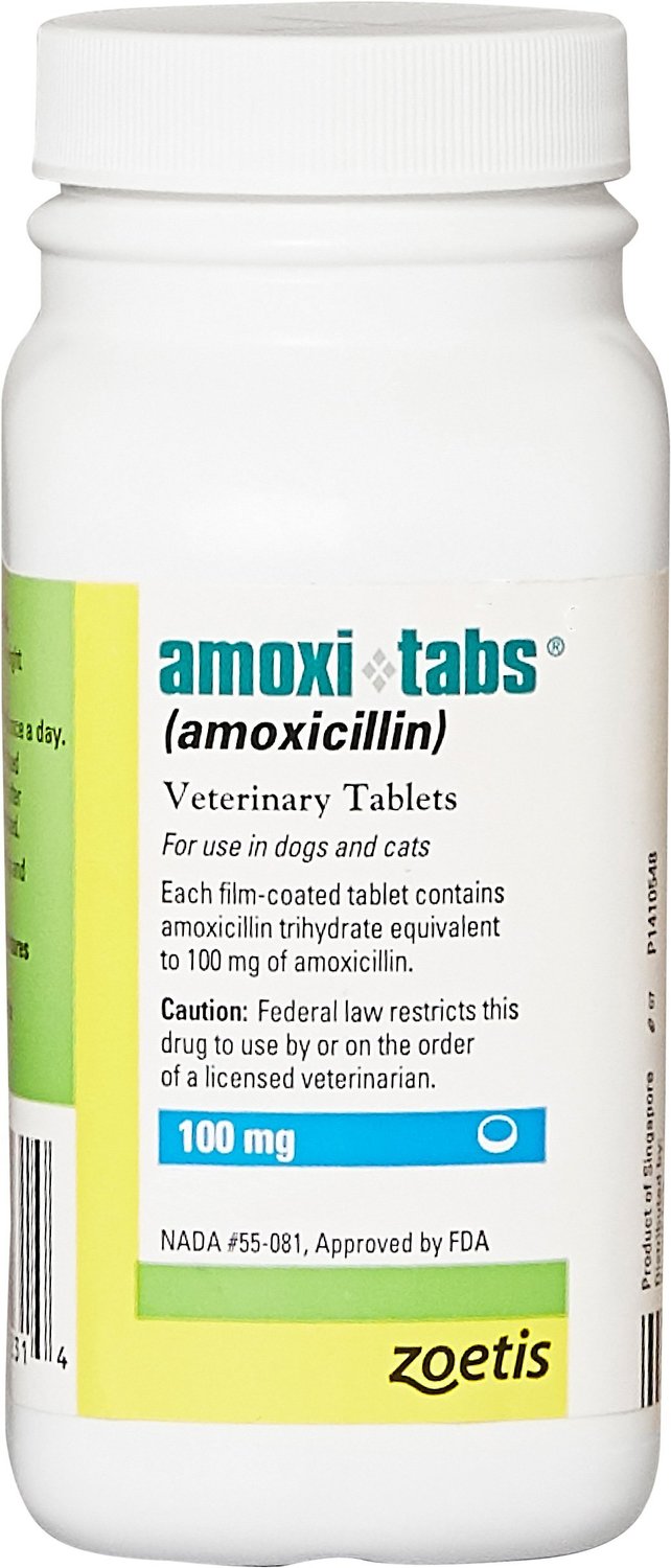 AMOXI-TABS (Amoxicillin) Tablets for Dogs & Cats, 100-mg, 60 tablets ...