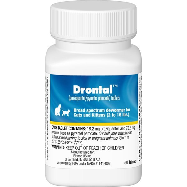 DRONTAL Tablets for Cats & Kittens, 2-16 lbs, 10 tablets - Chewy.com