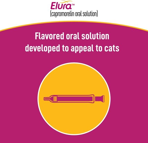 ELURA (capromorelin oral solution) for Cats, 20 mg/mL, 15 mL - Easy ...