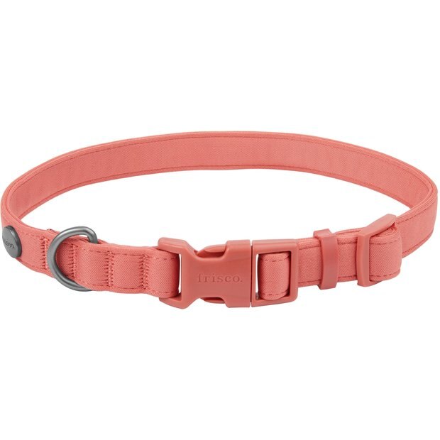 PINK DOG COLLARS (Free Shipping) | Chewy