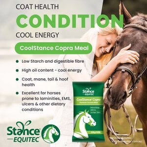 10 Best Complete Horse Feeds 2024: According to Reviews | Chewy