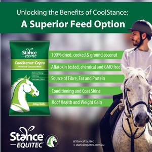 10 Best Complete Horse Feeds 2025: According to Reviews | Chewy