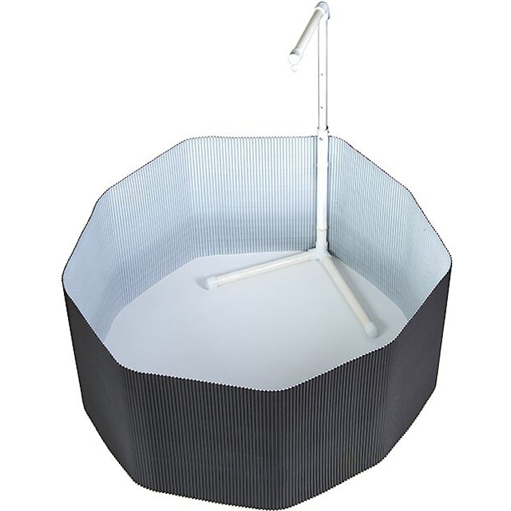 Little Giant - Free shipping | Chewy