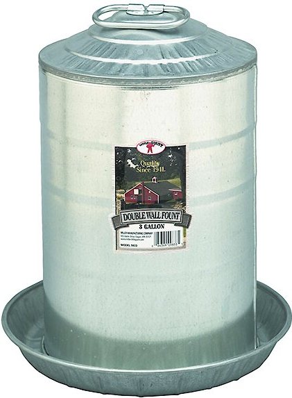 LITTLE GIANT Double Wall Metal Poultry Fount, 3-gal - Chewy.com