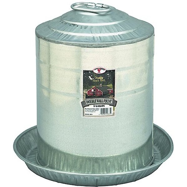 FARM INNOVATORS Heated All-Season Poultry Fount, 3-gal - Chewy.com